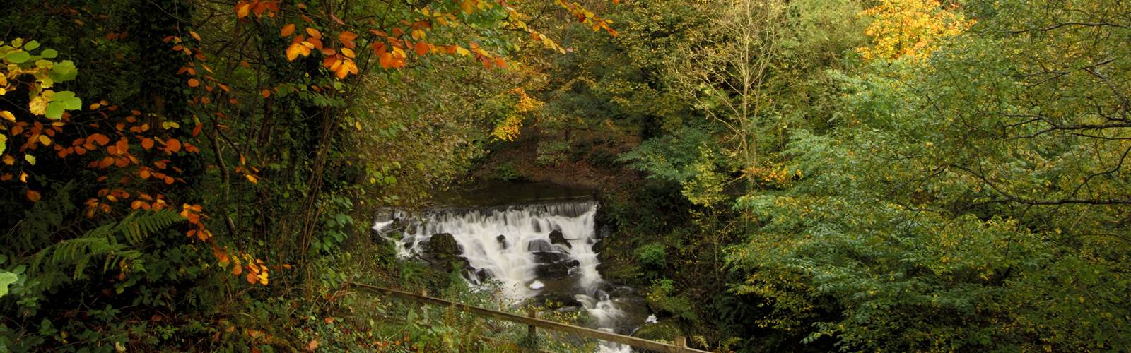 Activities Near Cabra Castle|Explore Dun a Ri Forest…