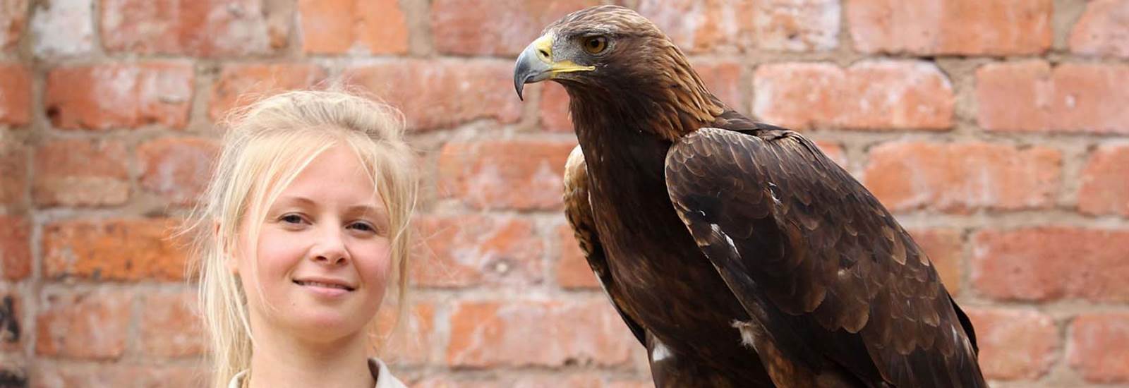 Team Building Chester | Team Away Day Activities Cheshire