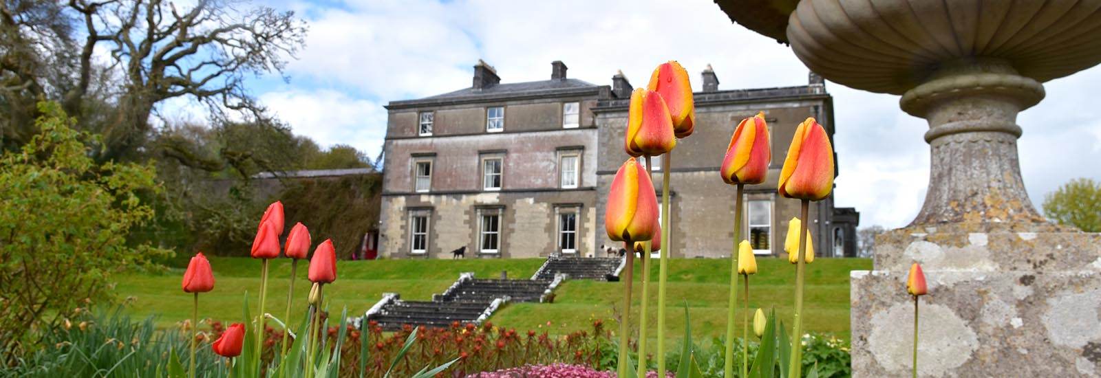 Guest Reviews & Testimonials | Temple House