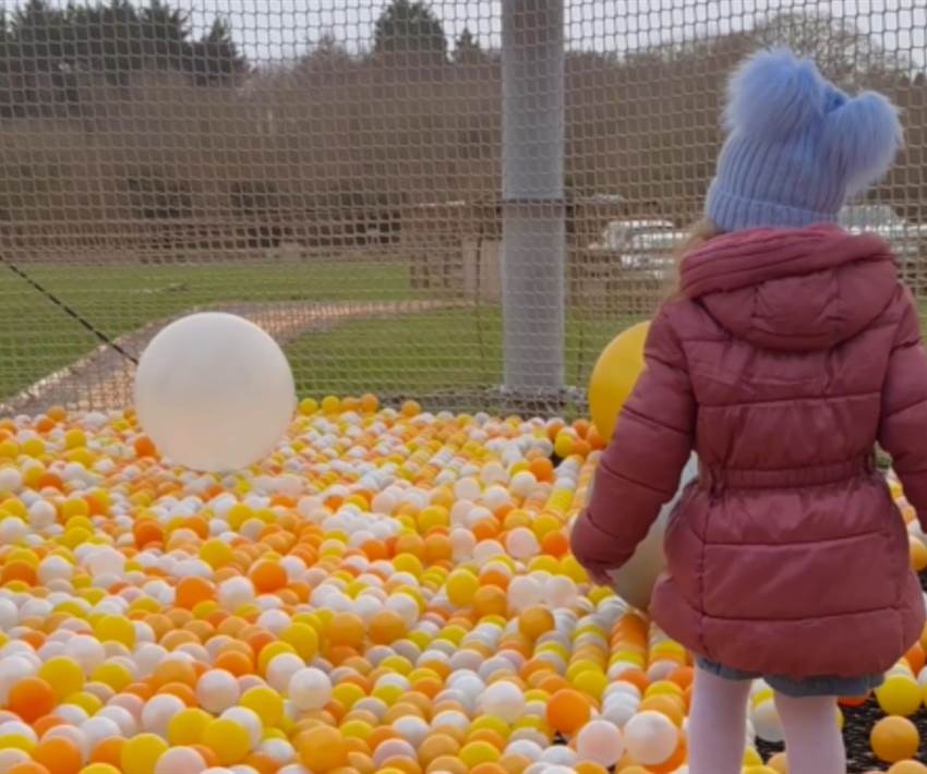 Bounce and Play | Wildlands