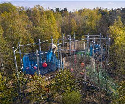 Activities in Galway | Indoor & Outdoor Activities in Galway